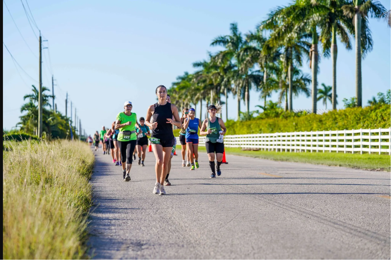 Stay Hydrated on Your Everglades Adventure with WaterMonster's Portabl